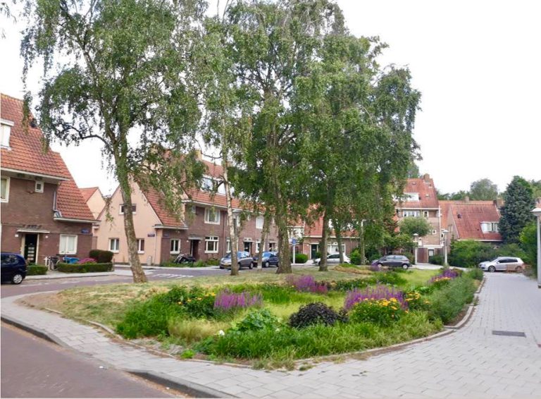 Future Societies Lab: addressing sustainability issues - UvA Teaching ...