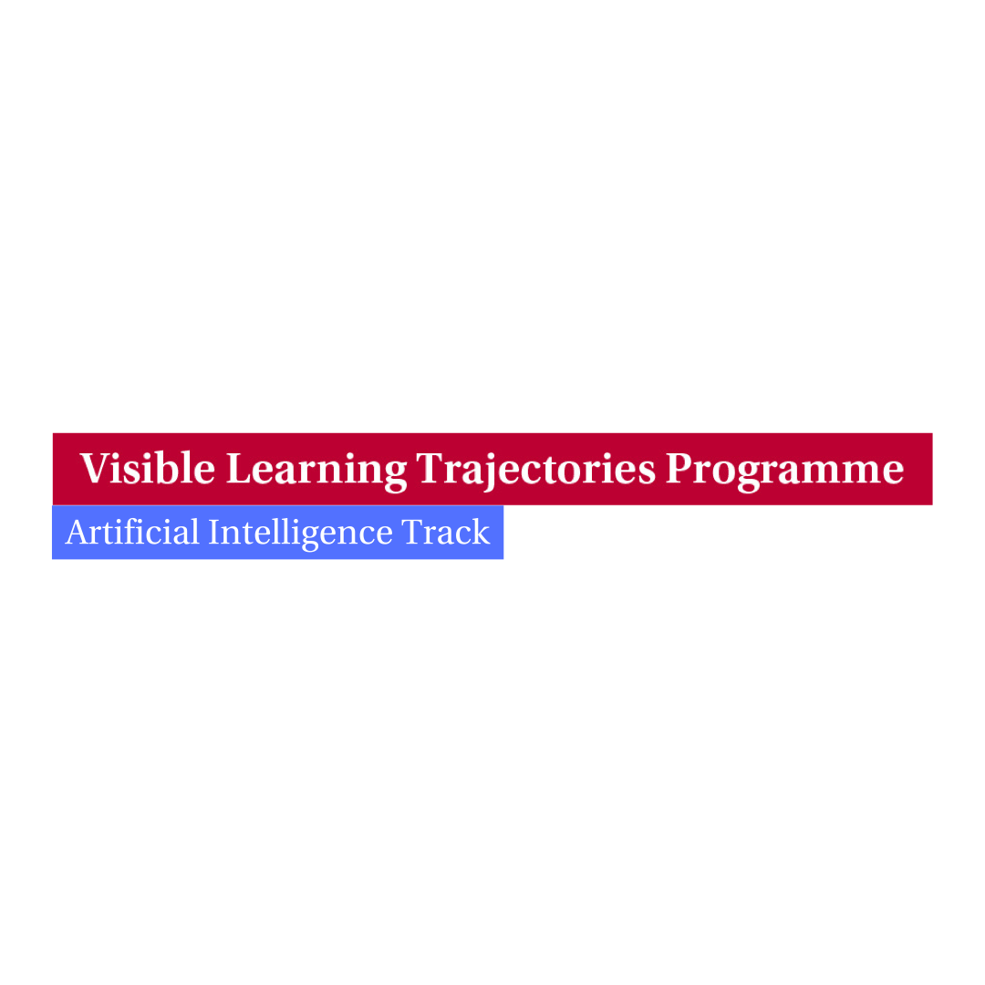 Visible Learning Trajectories Programme AI track - UvA Teaching and ...